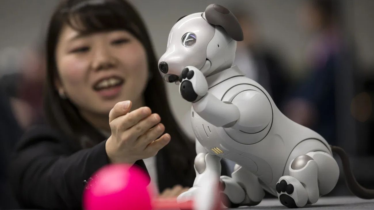 Sony revela la nueva generación de Aibo, su robot perro icónico